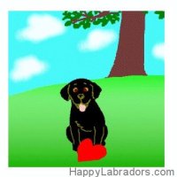 Cute and Funny Black Labrador GIF Animations – HappyLabradors
