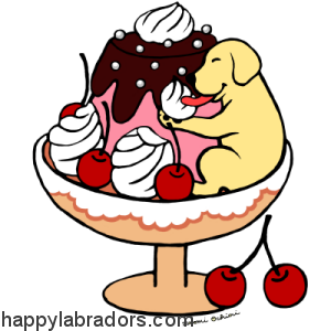 Yellow Labrador Ice Cream Sundae – HappyLabradors
