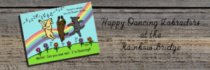 Labrador Rainbow Bridge – HappyLabradors