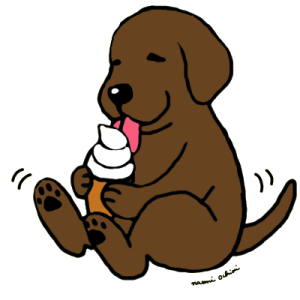 Chocolate Labrador Licking Ice Cream – HappyLabradors