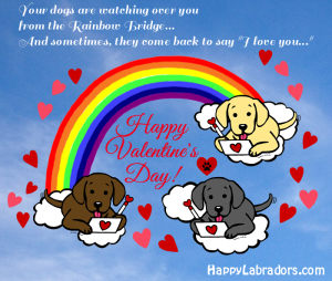 Labrador Rainbow Bridge – HappyLabradors